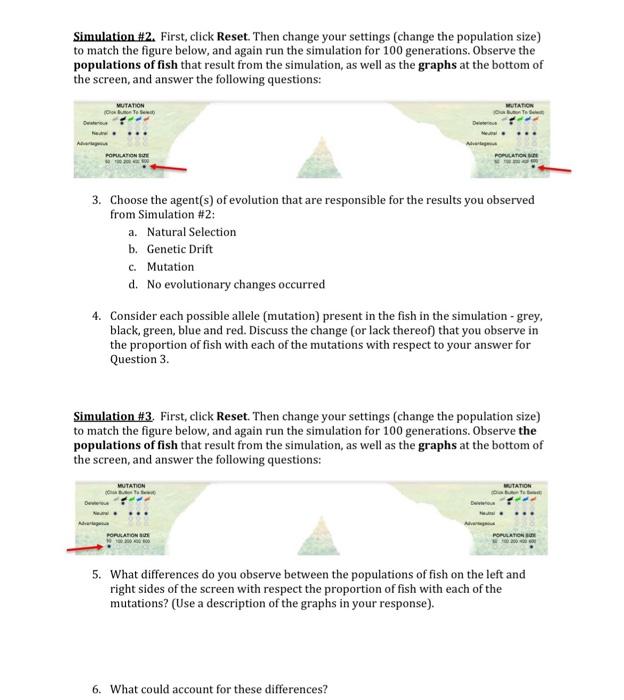Solved Simulation \#1. Using the buttons at the top left and | Chegg.com
