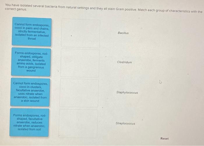 Solved You have Isolated several bacteria from natural | Chegg.com