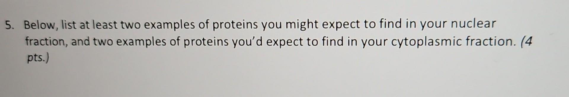 Solved Below, list at least two examples of proteins you | Chegg.com