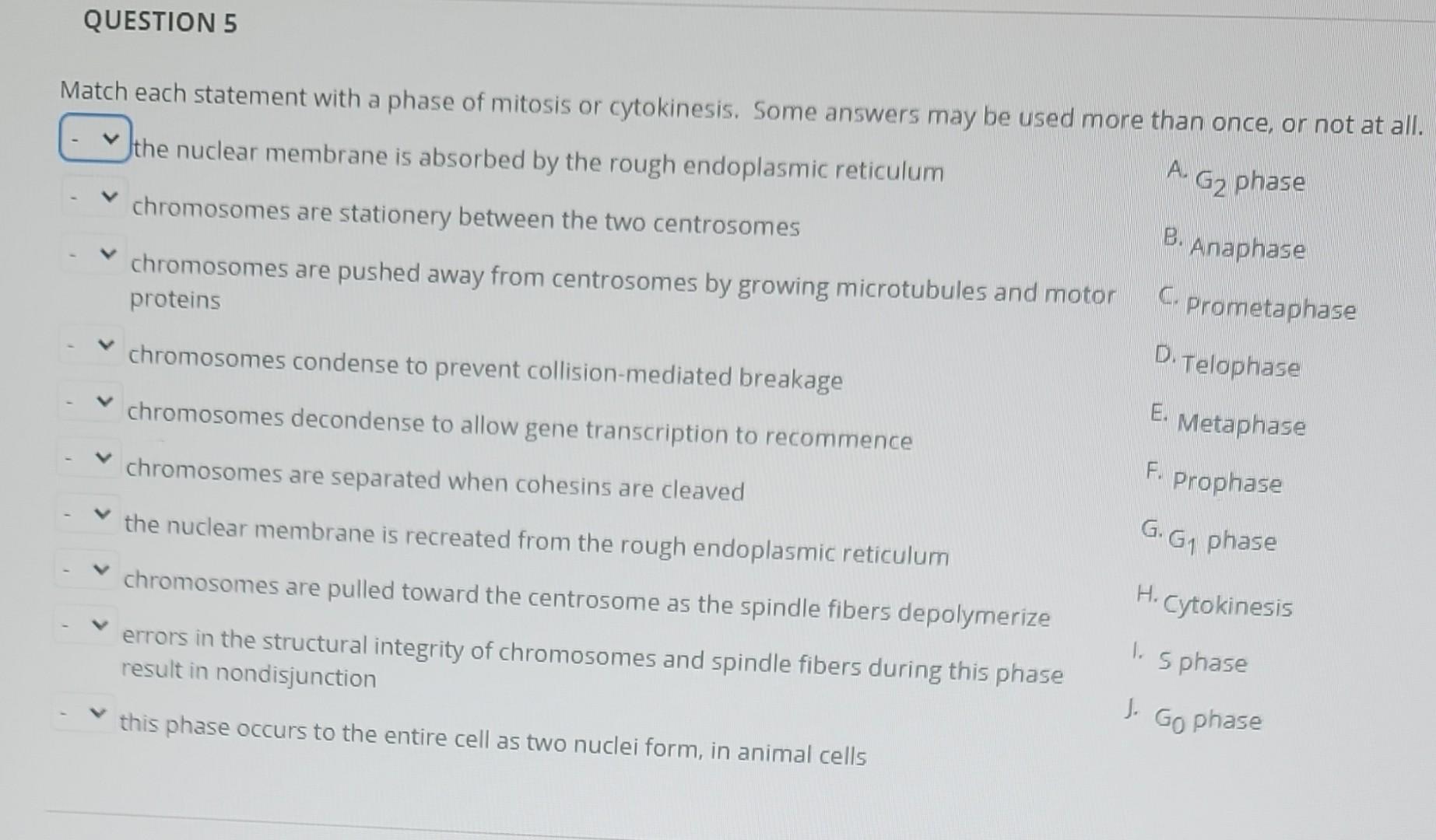 Solved QUESTION 5 Match each statement with a phase of | Chegg.com