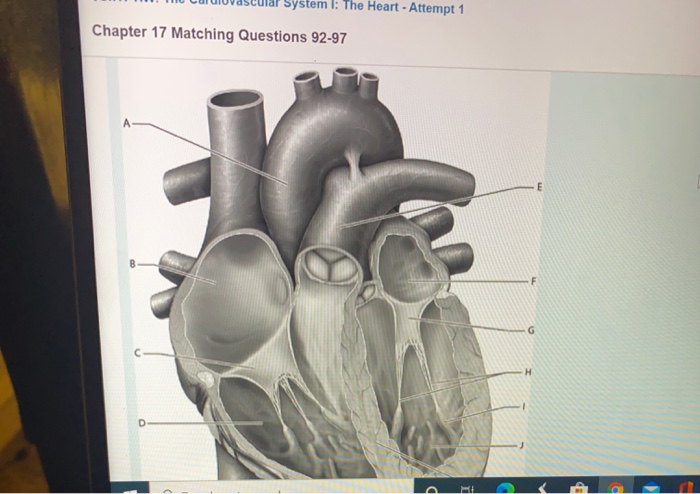 Solved System 1: The Heart - Attempt 1 Chapter 17 Matching | Chegg.com