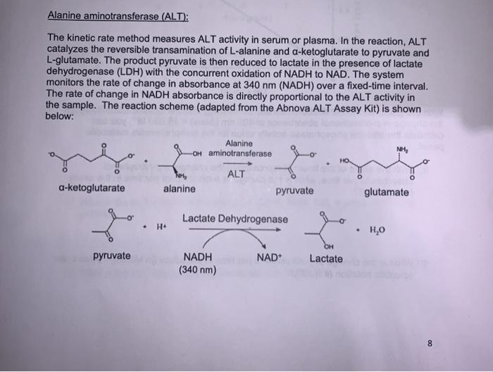 Alanine aminotransferase (ALT): The kinetic rate | Chegg.com
