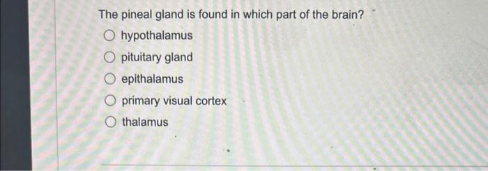 Solved The pineal gland is found in which part of the brain? | Chegg.com