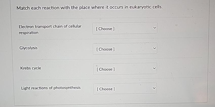 Solved Match each reaction with the place where it occurs in | Chegg.com