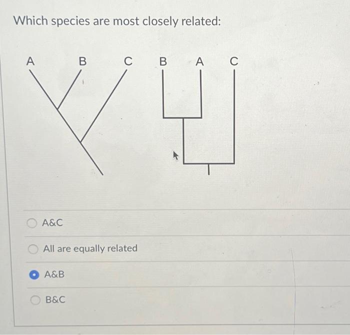 Solved Which species are most closely related: A&C All are | Chegg.com