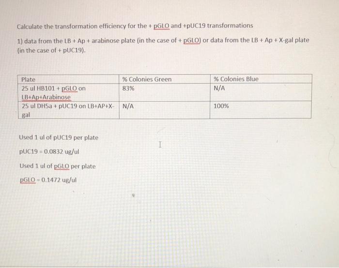 Solved Calculate the transformation efficiency for the+PGLO | Chegg.com