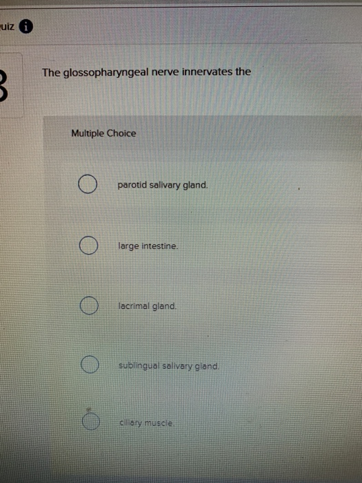 Solved Chas Quiz meducation.com/flow/connect.html nerves | Chegg.com