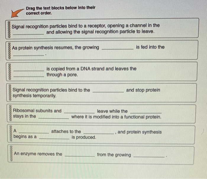 Solved Drag the text blocks below Into their correct order. | Chegg.com