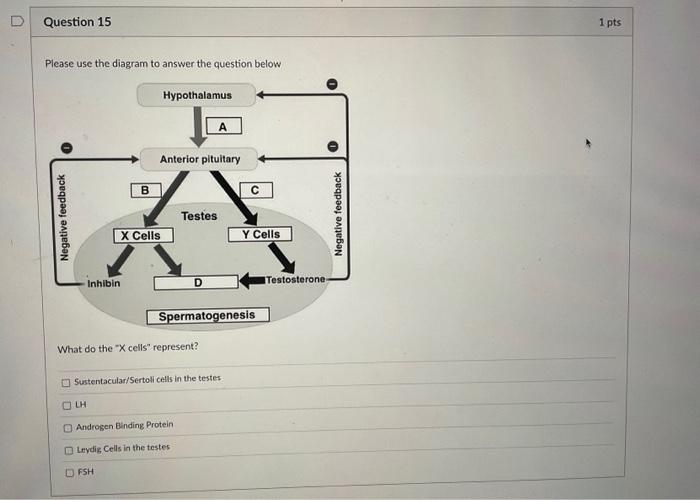 Solved Please use the diagram to answer the question below | Chegg.com