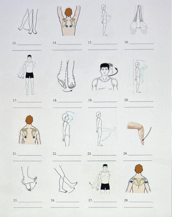 Solved 13. 14. 15. 16. 17. 18. 19. 20. 21. 22. 23. 24. 25. | Chegg.com