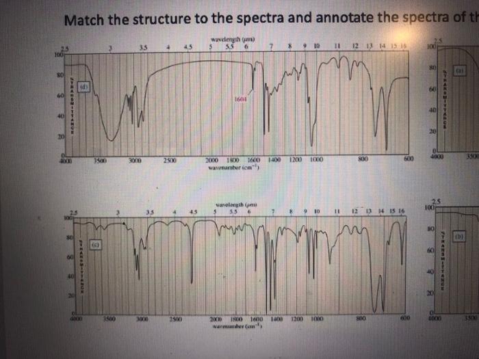 Solved Match the structure to the spectra and annotate the | Chegg.com