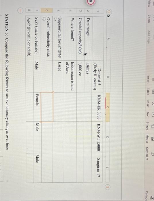Solved B 62 View Zoom Add Page Insert Table Chart Text Shape | Chegg.com