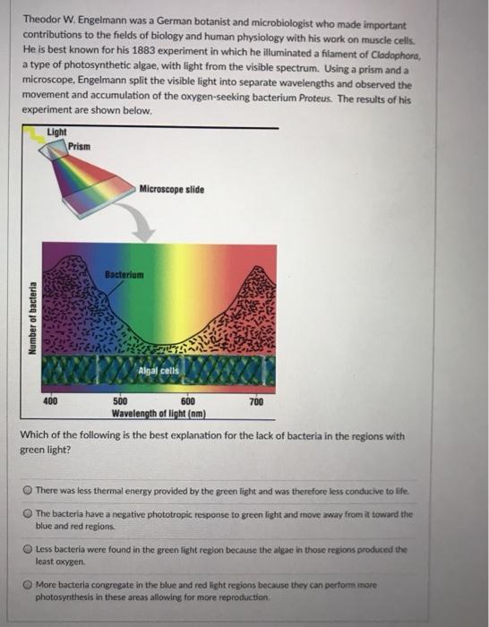Engelmann Experiment