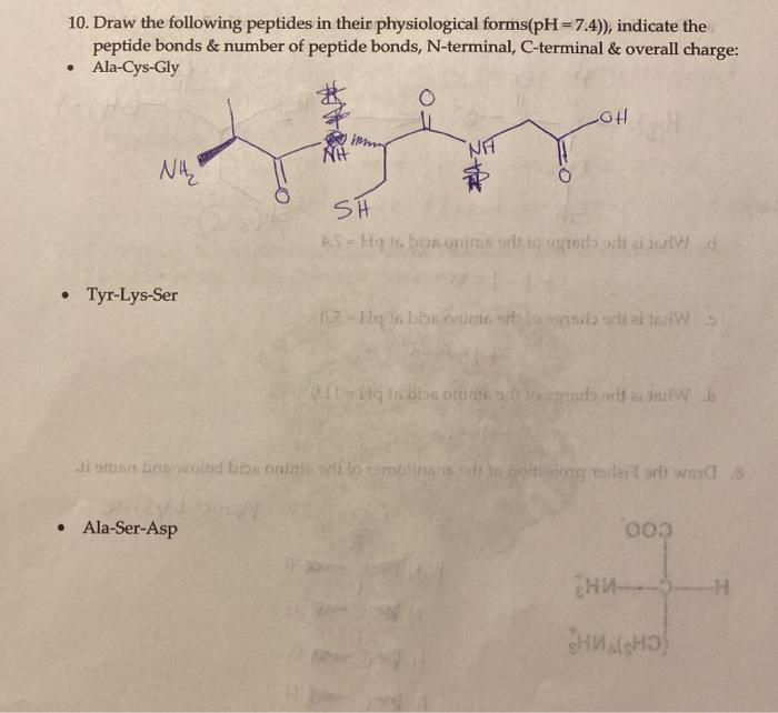 Solved 10. Draw the following peptides in their | Chegg.com