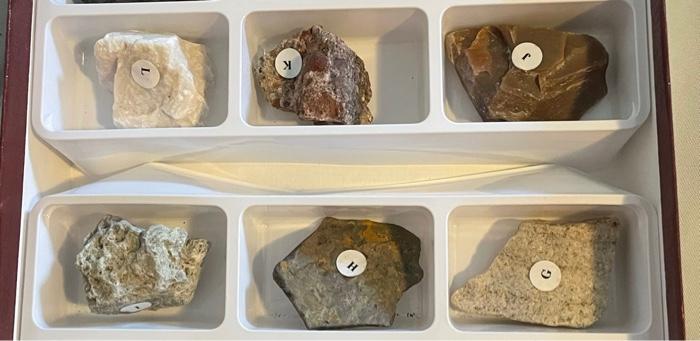 Solved Data Sheet - Table 6-Sedimentary Rock Identification | Chegg.com