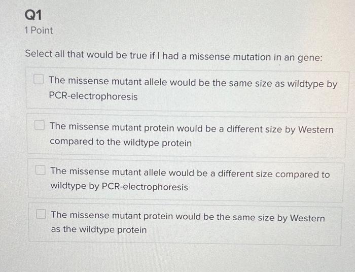 Solved Select all that would be true if I had a missense | Chegg.com