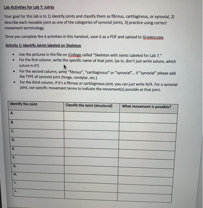 Solved Lab Activities for Lab 7: Joints Your goal for this | Chegg.com