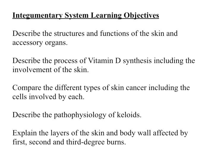 Solved Integumentary System Learning Objectives Describe the | Chegg.com