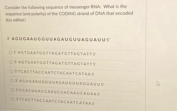Solved Consider the following sequence of messenger RNA: | Chegg.com