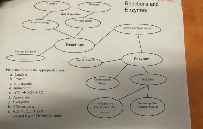 Solved Entropy increases Requires energy c. Endergonic d. | Chegg.com