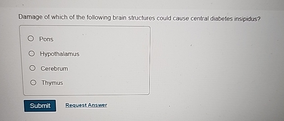 Solved Damage of which of the following brain structures | Chegg.com