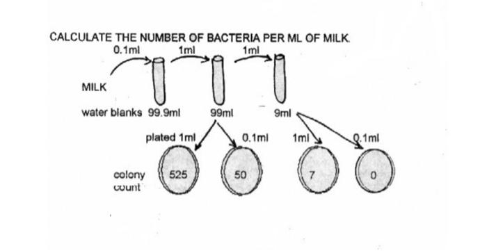 Solved CA - Work: | Chegg.com