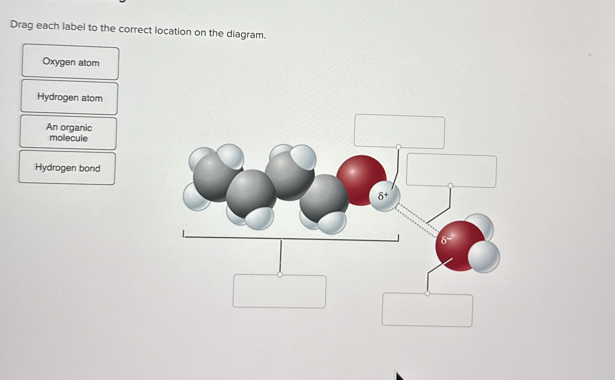 Solved Drag each label to the correct location on the | Chegg.com