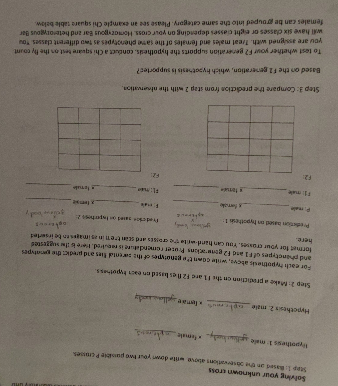 Solved Solving your unknown crossStep 1: Based on the | Chegg.com