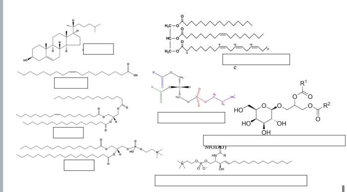 Solved Name these structures | Chegg.com