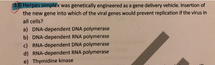 Solved you have performed the following mating experiment | Chegg.com