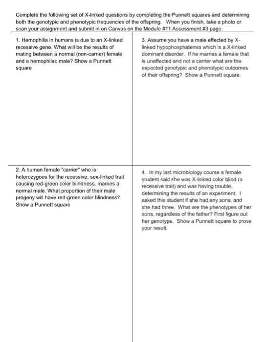 Solved Complete the following set of X-linked questions by | Chegg.com