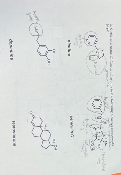 Solved 3. Circle and name all functional groups in the | Chegg.com