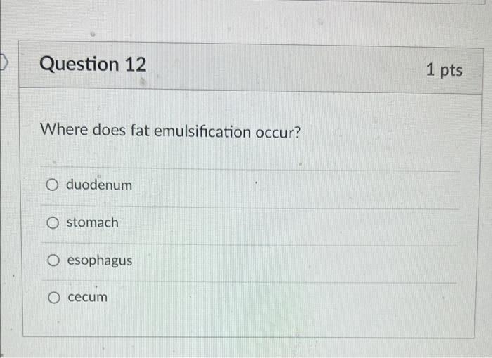 Solved Where does fat emulsification occur? duodenum stomach | Chegg.com