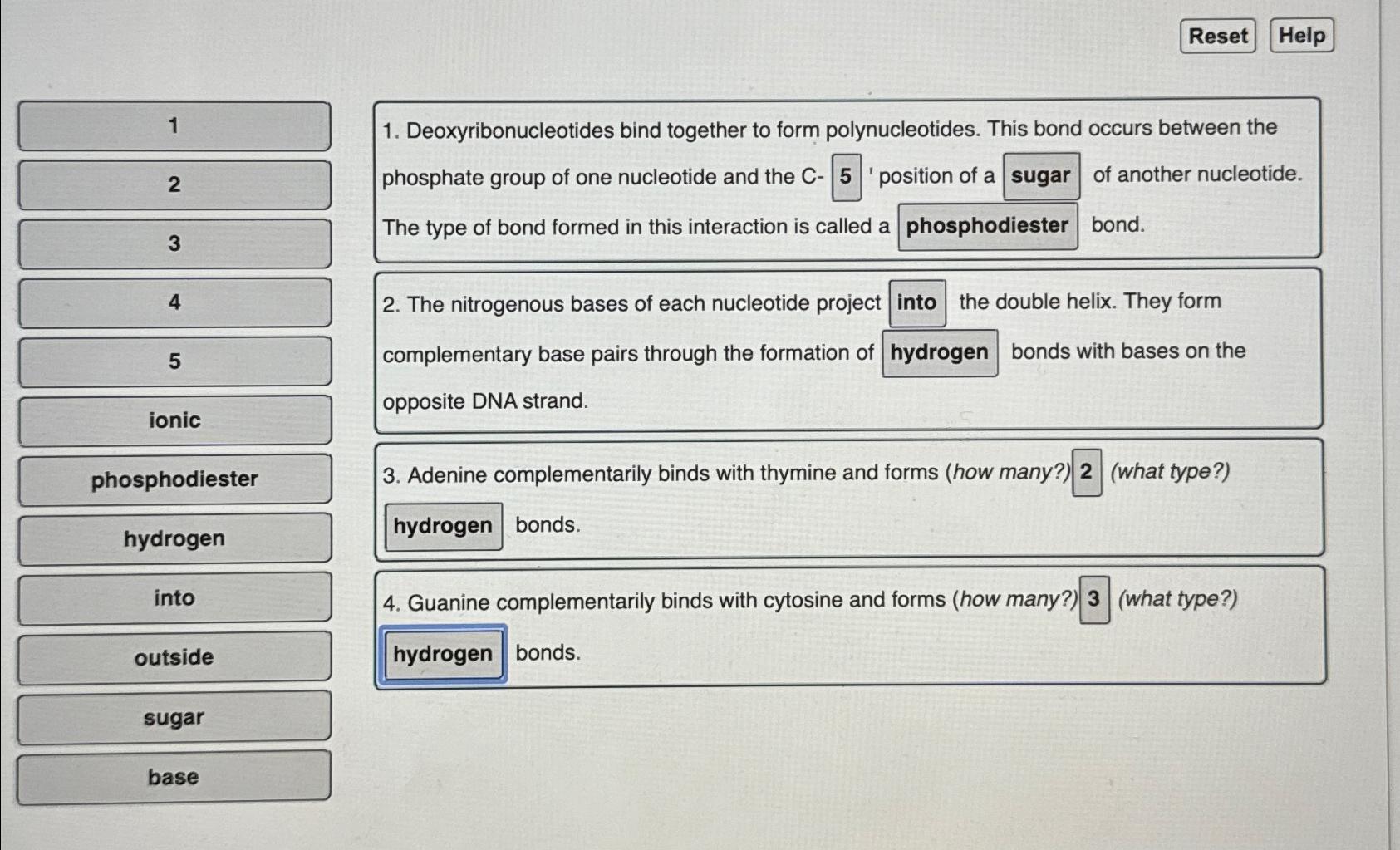 Solved HelpDeoxyribonucleotides bind together to form | Chegg.com
