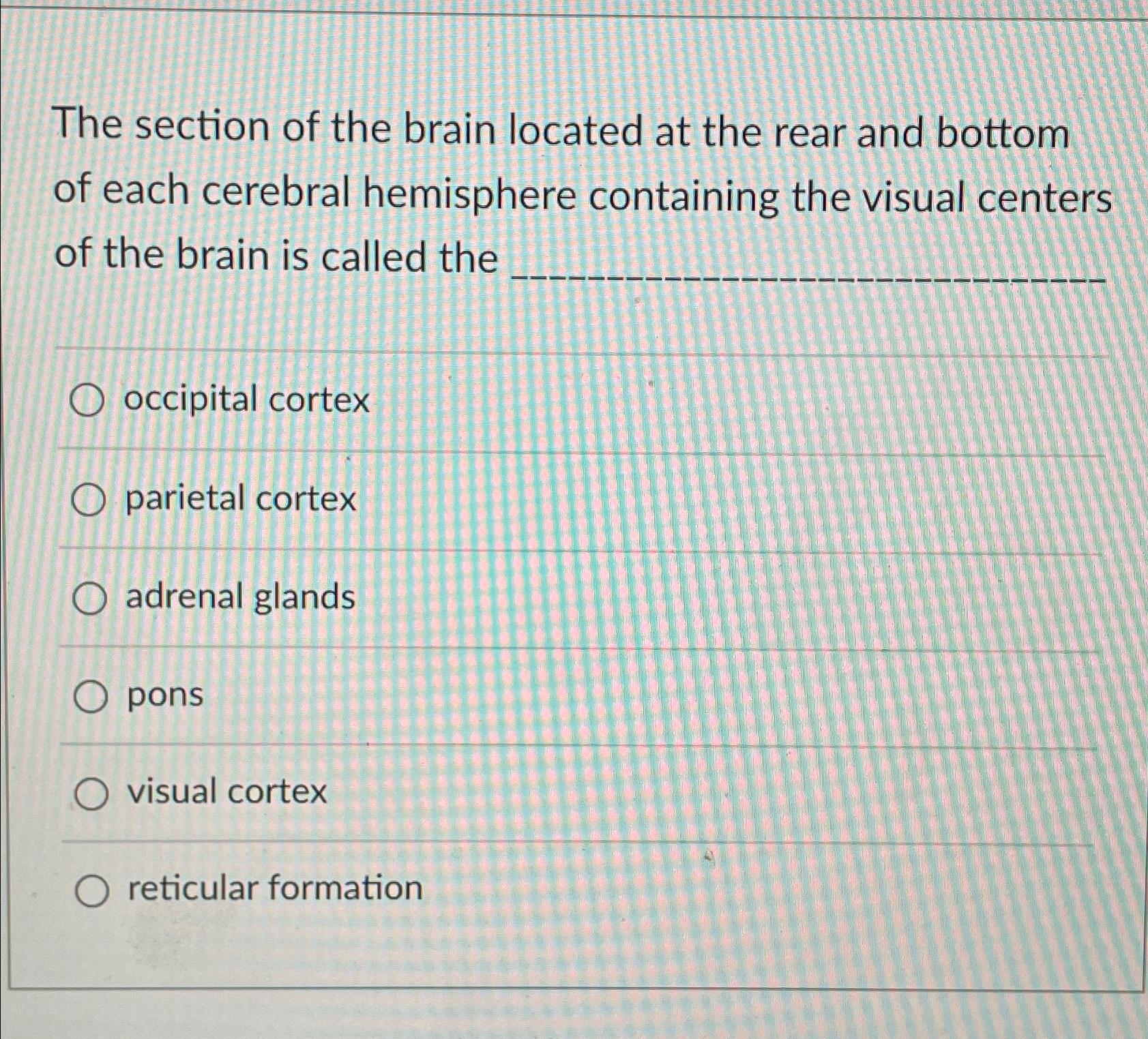 Solved The section of the brain located at the rear and | Chegg.com