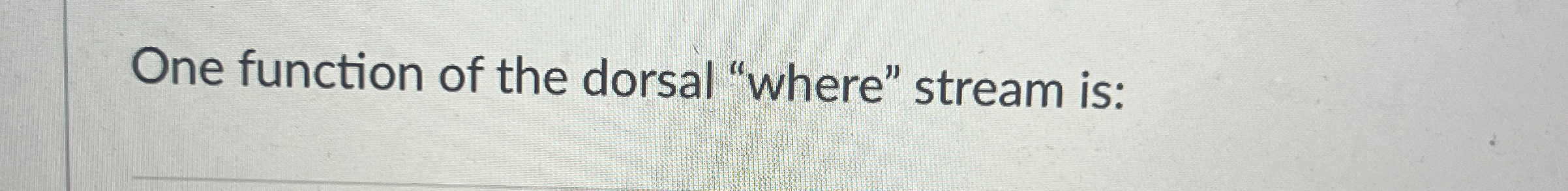 Solved One function of the dorsal "where" stream is: | Chegg.com