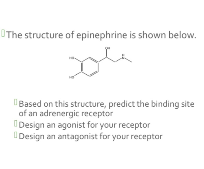 Solved The structure of epinephrine is shown below. Based on | Chegg.com