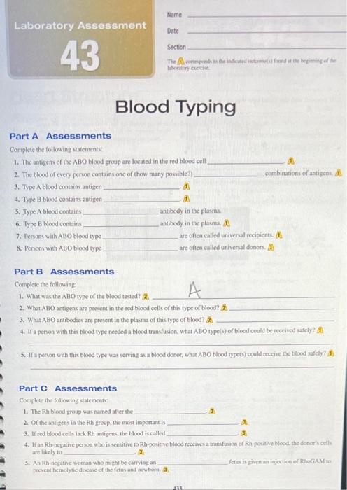 Solved Name Date Section taberaling cuecio: Blood Typing | Chegg.com