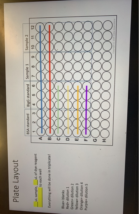 Plate Layout BSA standard BigG standard Sample 1 | Chegg.com