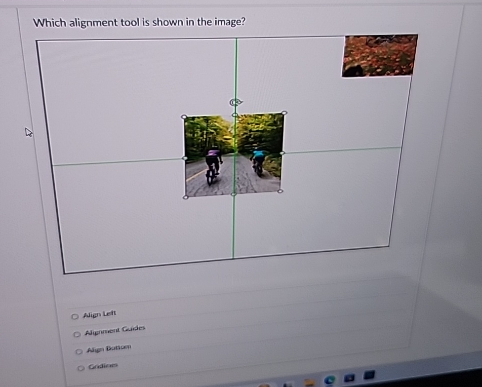 Solved Which alignment tool is shown in the image? Align | Chegg.com