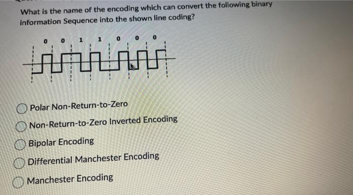 Solved What Is The Name Of The Encoding Which Can Convert 