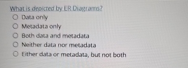 Solved What is depicted by ER Diagrams? Data only Metadata | Chegg.com