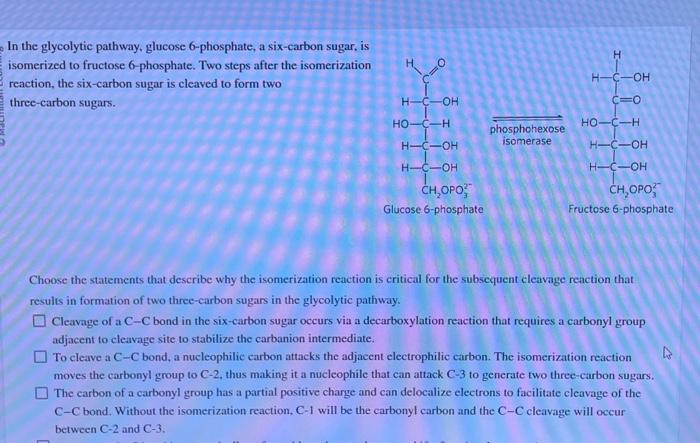 Solved In the glycolytic pathway, glucose 6-phosphate, a | Chegg.com
