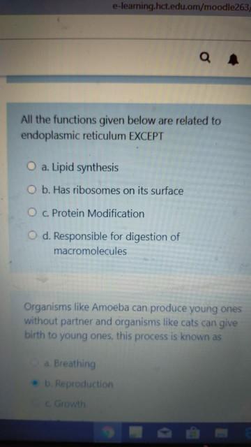Solved e-learning.hct.edu.am/moodle263, a All the functions | Chegg.com