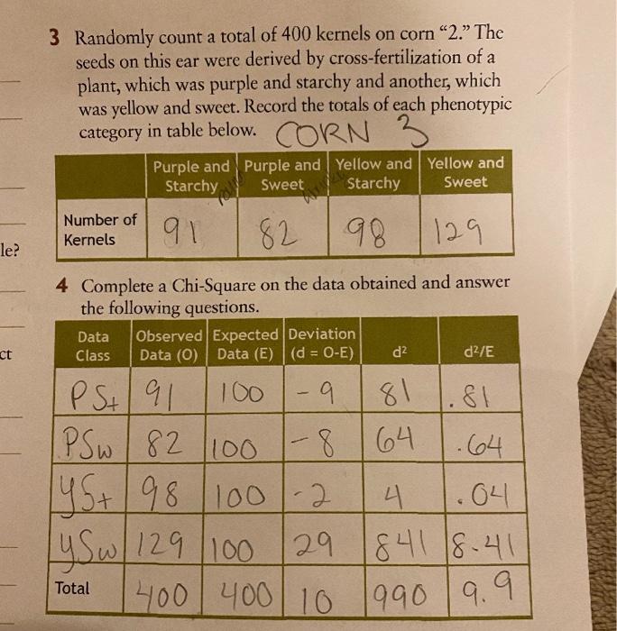 Solved 3 Randomly count a total of 400 kernels on corn "2.” | Chegg.com