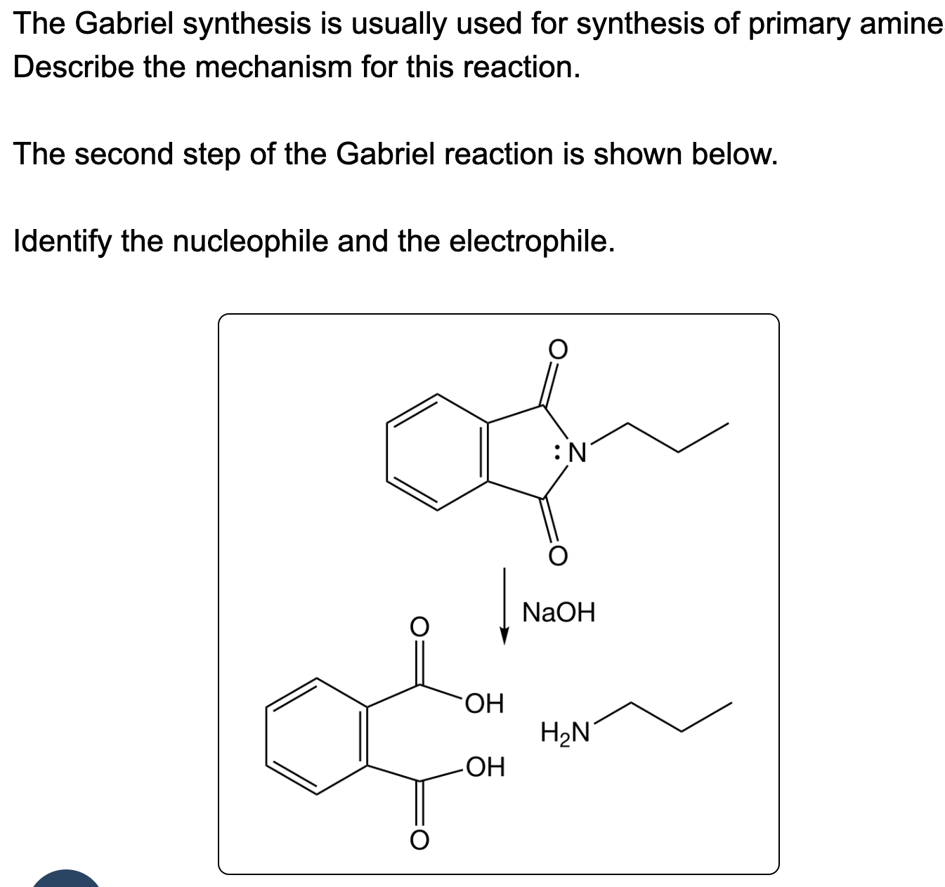 Solved The Gabriel synthesis is usually used for synthesis | Chegg.com