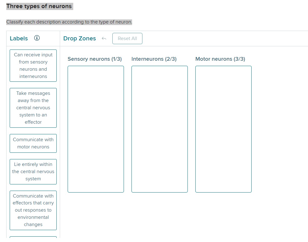 Solved Classify each description according to the type of | Chegg.com Solved Classify each description according to the type of | Chegg.com