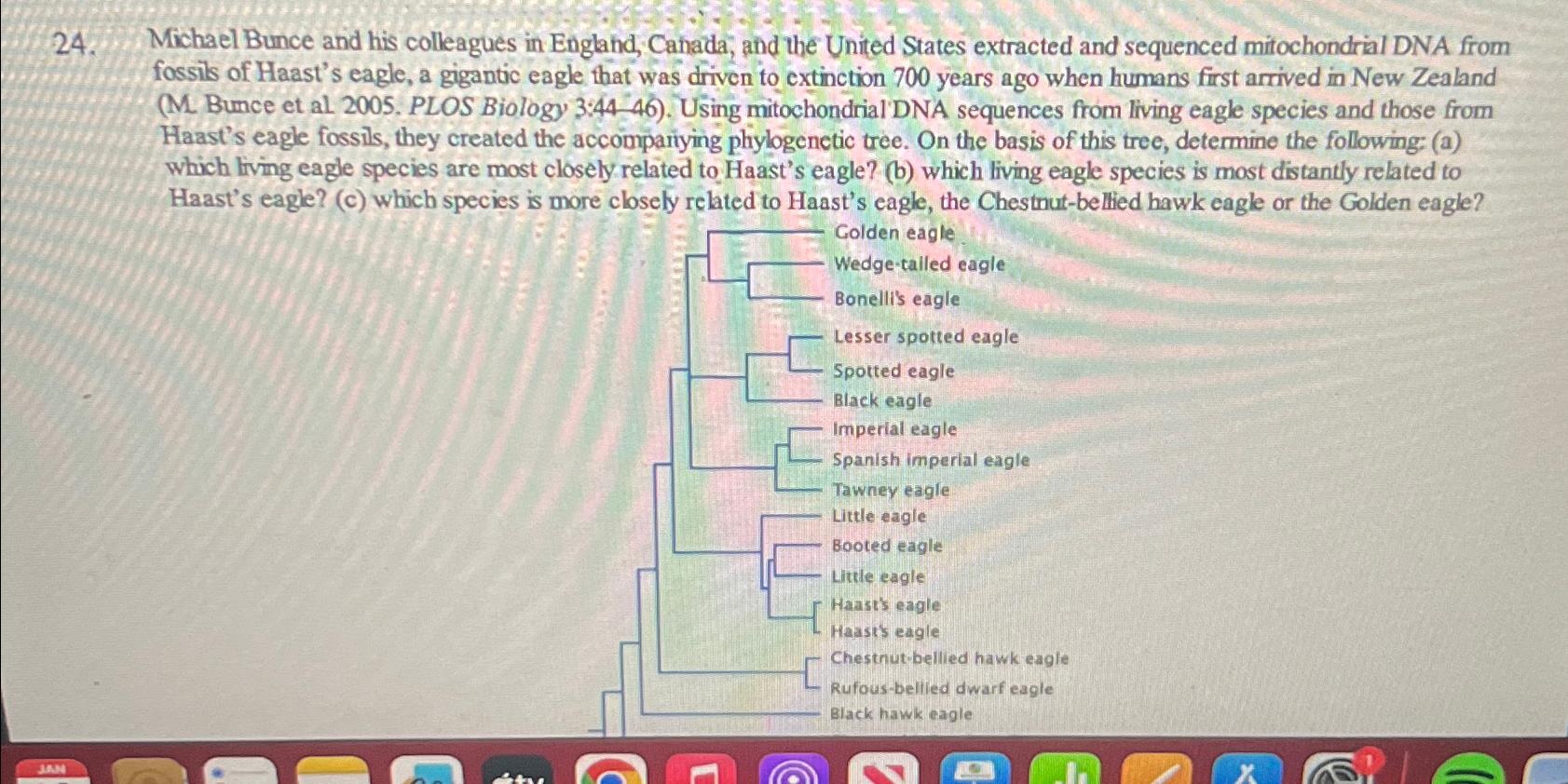 Solved Michael Bunce and his colleagues in England, Canada, | Chegg.com