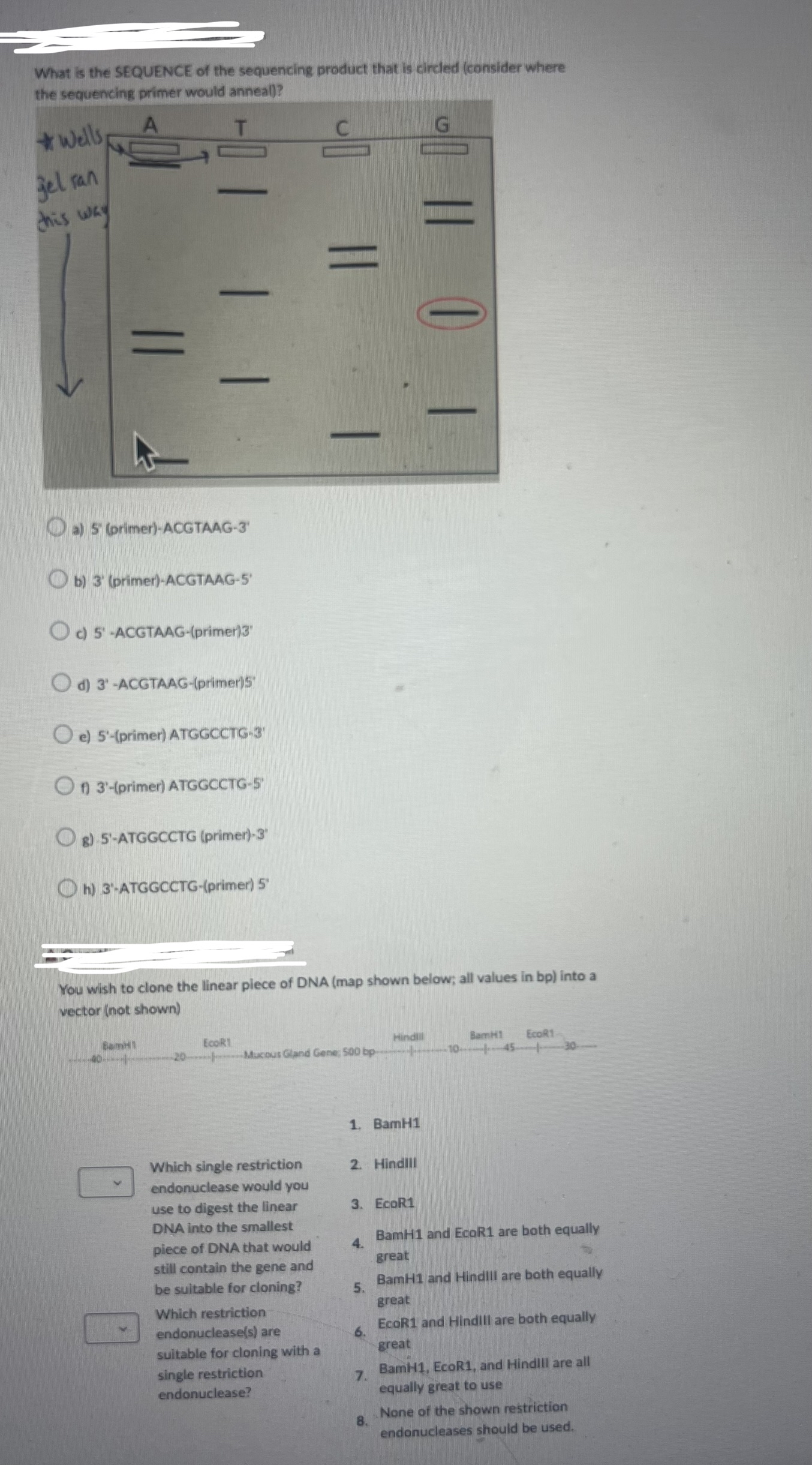 Solved please explain the correct answer! What is the | Chegg.com