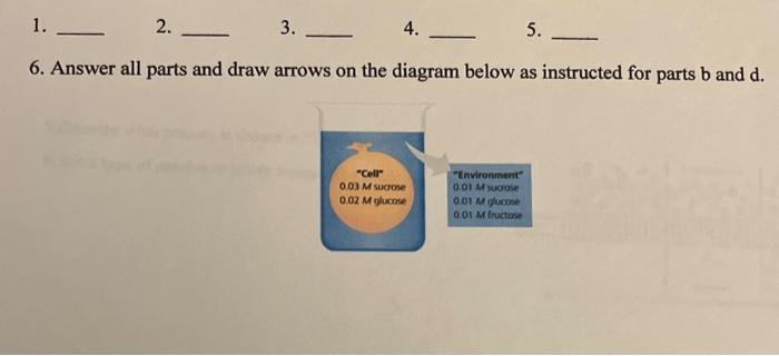 6. Answer all parts and draw arrows on the diagram | Chegg.com